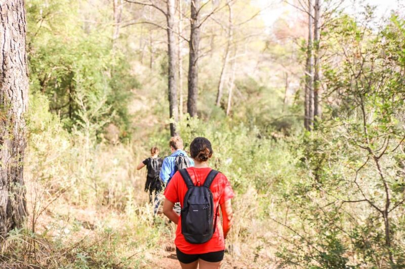 Explore Marbella's Nature: Guided Hiking And Foraging Trip - Who Will Love This Tour?