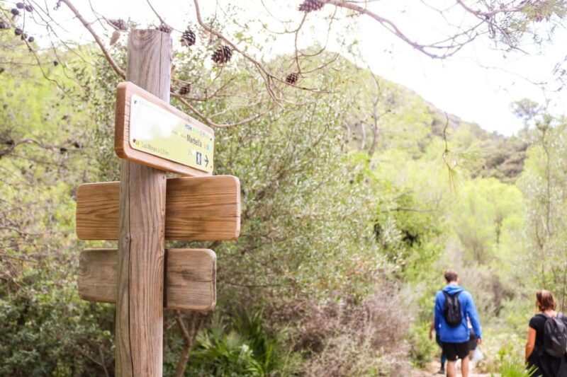 Explore Marbella's Nature: Guided Hiking And Foraging Trip - FAQ