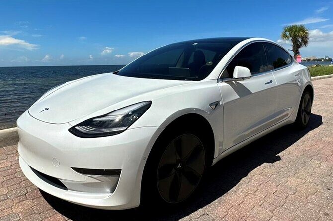 Explore Miami with a Private driver - Authenticity and Local Flavor