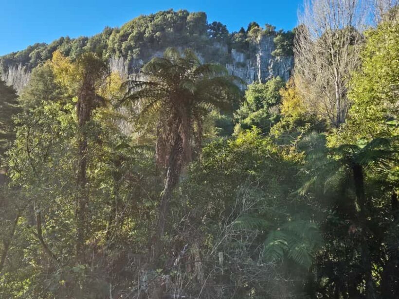 Explore Middle-Earth: Caves to Cinematic Landscapes - Value and Practicalities