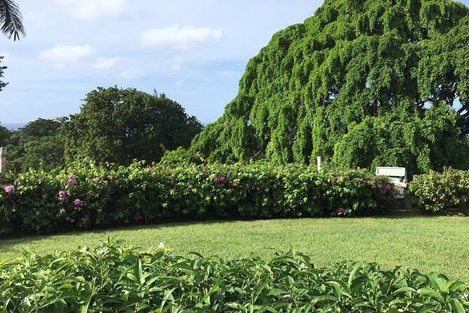 Explore Montego Bay Jamaica Rose Hall Great House Day/Night Tour - What Travelers Say: Authentic Feedback