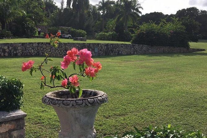 Explore Montego Bay Jamaica Rose Hall Great House Day/Night Tour - Practical Details: Transportation, Timing, and Group Size