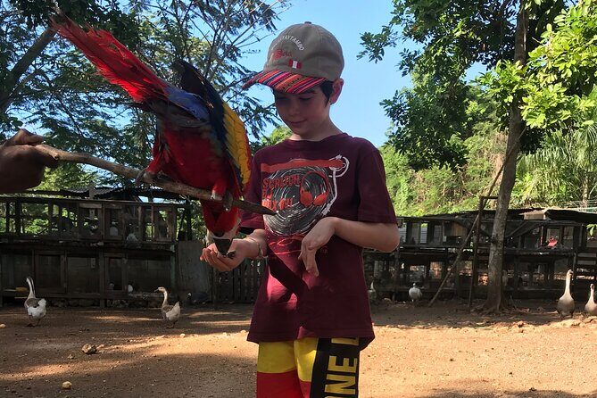 Explore Montego Bay to Exotic Birds and Herb Farm from MontegoBay - A Closer Look at the Tour Experience