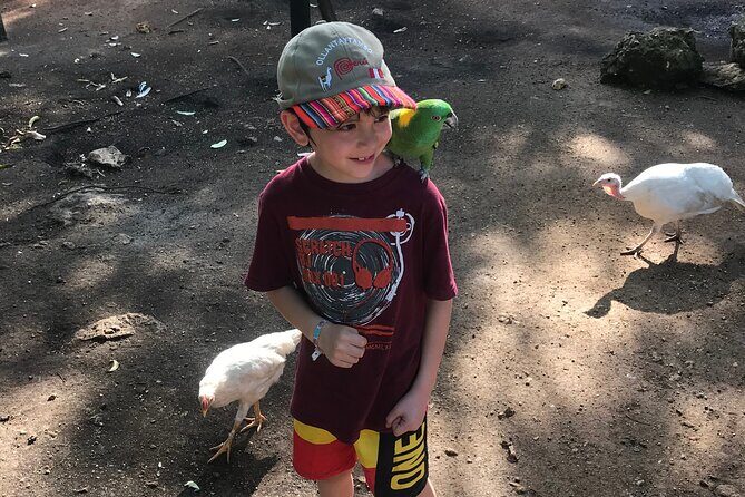 Explore Montego Bay to Exotic Birds and Herb Farm from MontegoBay - Final Thoughts