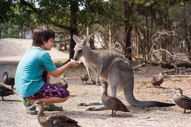 Explore Mornington Wildlife Wine and Hot Springs - Frequently Asked Questions