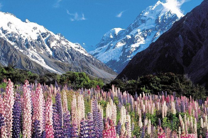 Explore Mount Cook from Christchurch - The Journey Begins: From Christchurch to the Southern Alps