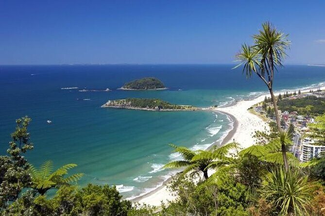 Explore Mount Maunganui: Self-Guided Audio Tour - What Travelers Say (Based on Reviews)