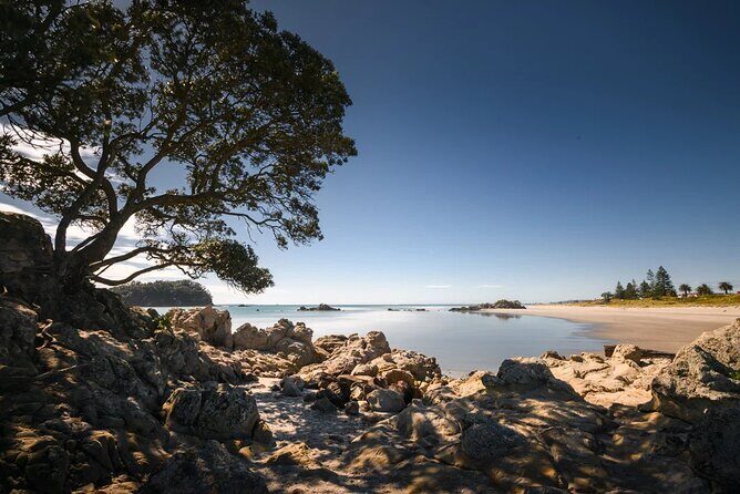 Explore Mount Maunganui: Self-Guided Audio Tour - Analyzing the Value: Is It Worth It?