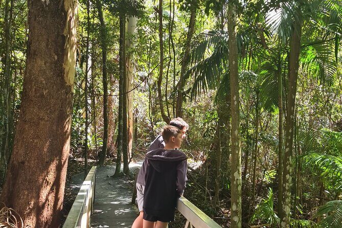 Explore Mt Tamborine from Brisbane - The Itinerary in Detail