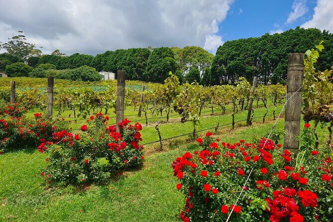 Explore Mt Tamborine from Brisbane - Final Word