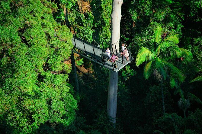 Explore Mt Tamborine from Gold Coast - A Closer Look at the Tour Experience