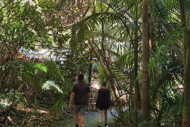 Explore Mt Tamborine from Gold Coast - FAQ