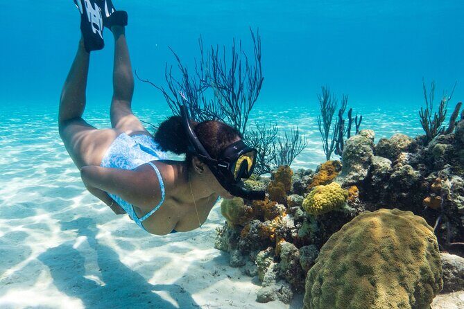 Explore Nassau's Best Spots with Snorkeling Tour - Key Points