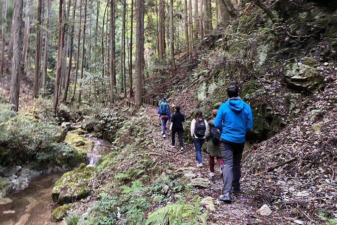 Explore Nature in Yoshino With E-Bike Tour - Inclusions