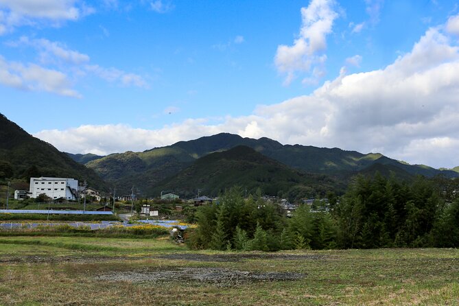 Explore Nature in Yoshino With E-Bike Tour - Health and Safety Requirements
