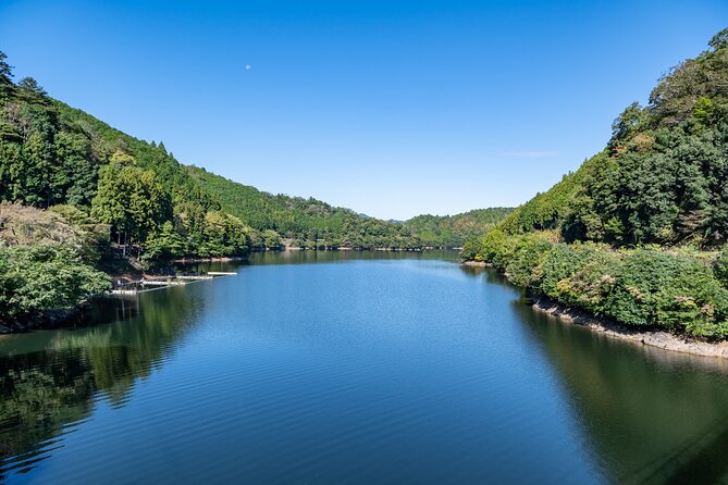 Explore Nature in Yoshino With E-Bike Tour - Exploring the Natural Beauty of Yoshino