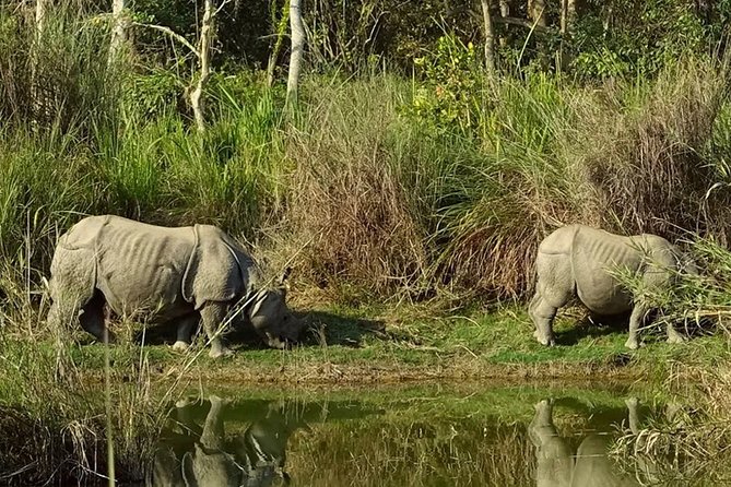 Explore Nepal In A Week  7 Days - The Dawn of the Himalayas at Sarangkot
