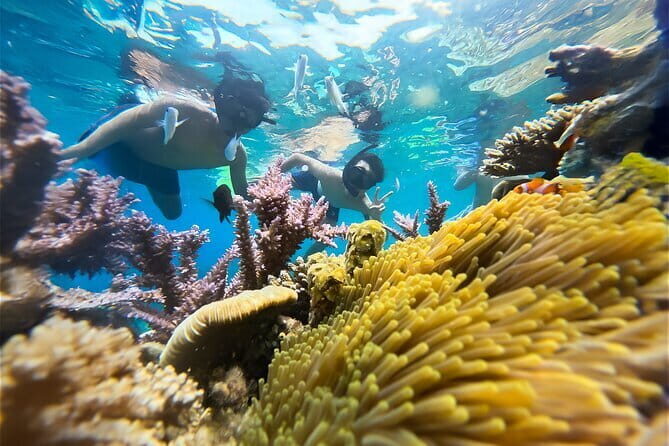 Explore Nha Trang: Snorkeling, Fishing, and BBQ Beach Relaxation - Final Word