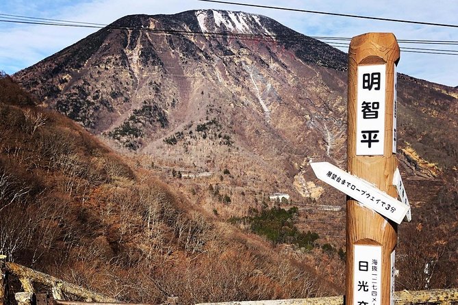 Explore Nikko in a Day - Private Car With English Speaking Driver - Accessibility and Physical Requirements