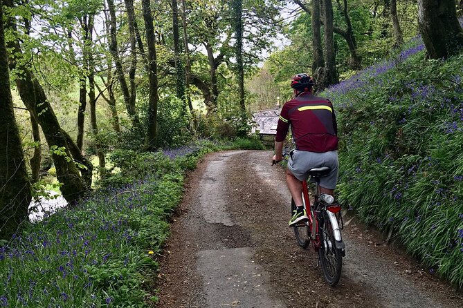 Explore North Cornwall on Electric Bikes - The Value of This Experience