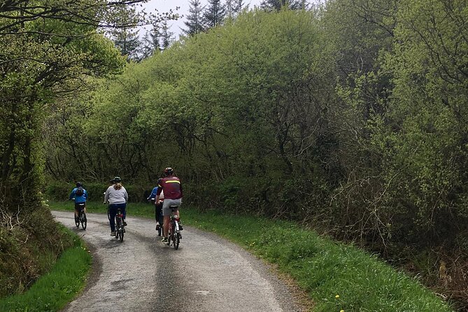 Explore North Cornwall on Electric Bikes - Final Thoughts