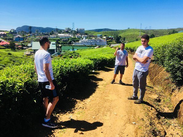 Explore Nuwara Eliya | Experience the Best Tea in the World - Authenticity and Value