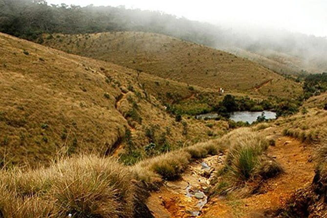 Explore Nuwara Eliya - Waterfall & Tea Factory Tour - Final Thoughts