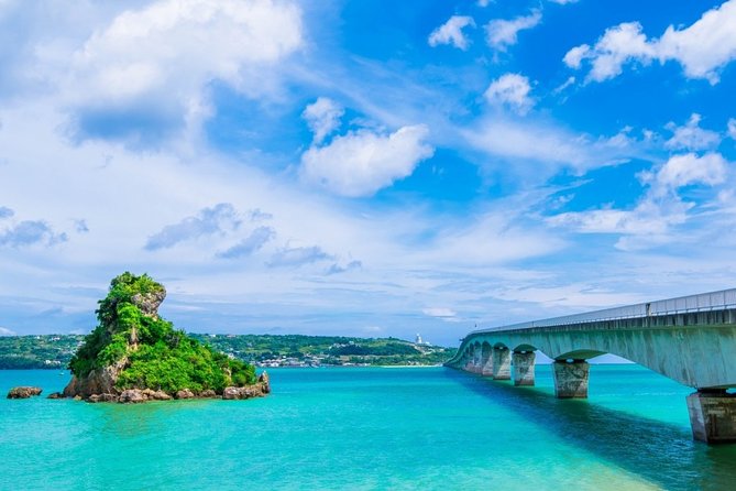 Explore Okinawa With Private Alphard Car Hire - Meeting and Pickup Details