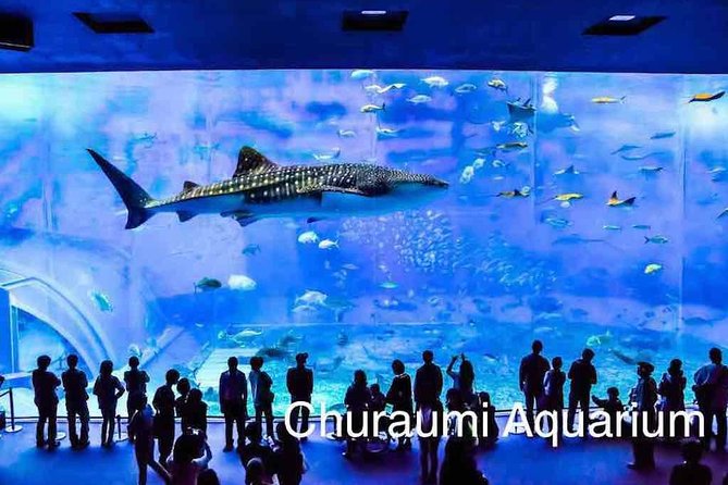 Explore Okinawa With Private Sedan Car Hire Driver - Key Points