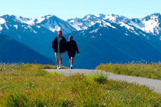 Explore Olympic National Park from Seattle through Van /Ferry - Areas for Improvement