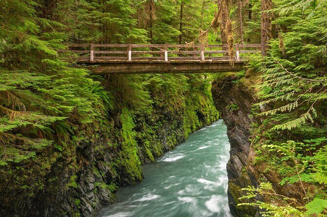 Explore Olympic National Park from Seattle through Van /Ferry - Final Thoughts
