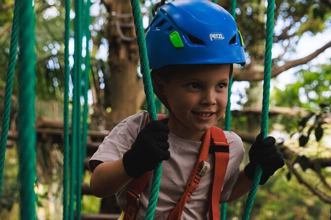 Explore Ourimbah State Forest Junior Tree Ropes Course - Exploring the Ourimbah State Forest Junior Tree Ropes Course