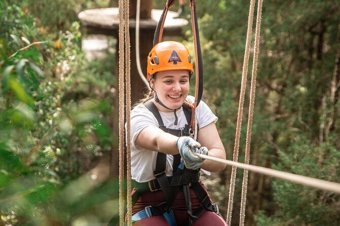 Explore Ourimbah State Forest Tree Ropes Course - What Makes This Ropes Course Stand Out