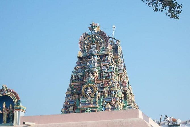 Explore Palani Murugan Temple From Coimbatore - What We Think About the Price and Value