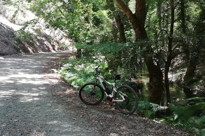 Explore Paphos forest with e-mountain bikes - FAQ