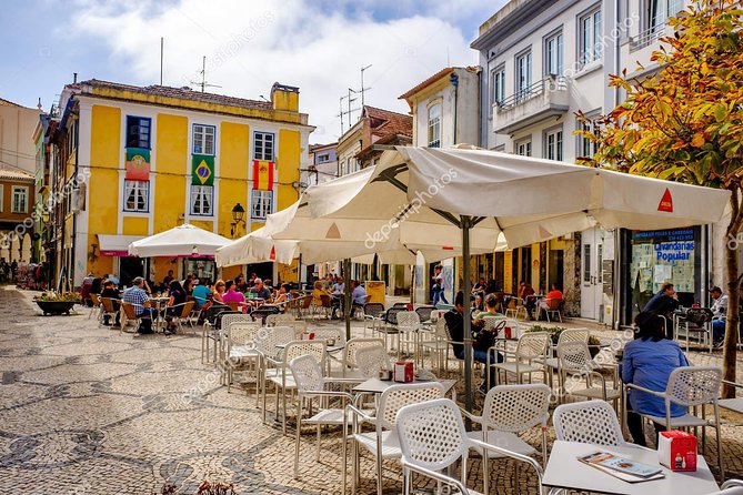 Explore Porto & Aveiro within Riverboat Cruises - Private Full Day Tour from Lisbon with Lunch - Lunch and Wine Tasting: Savoring Local Flavors