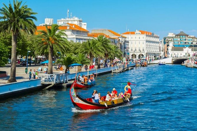 Explore Porto & Aveiro within Riverboat Cruises - Private Full Day Tour from Lisbon with Lunch - What Travelers Say