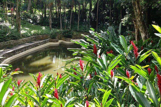 Explore Puerto Plata's Best & Cable Car - Shore Excursion - A Closer Look: What to Expect on the Tour