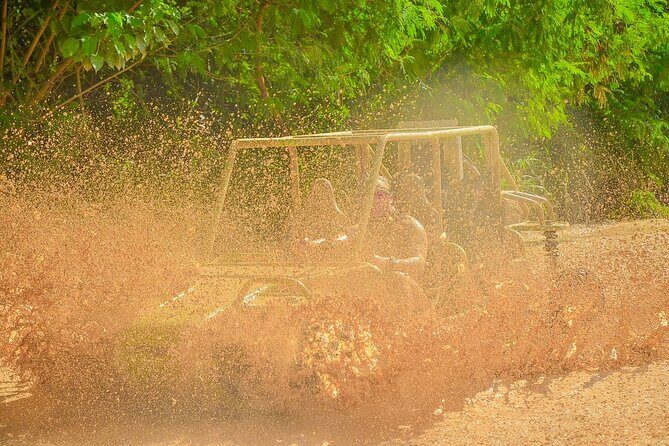 Explore Punta Cana Buggy or ATV Adventure in Macao - The Sum Up