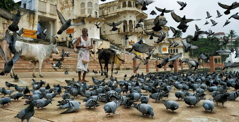 Explore Pushkar in a Day from Jaipur, Private Tour - Key Points