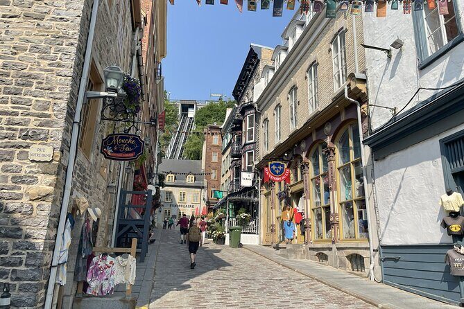 Explore Quebec City and the Falls with a local Chauffeur Guide - Who Should Consider This Tour?