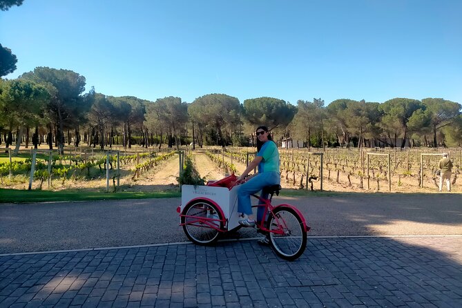 Explore Ribera Del Duero and Visit 3 Wineries With Madrid Pickup - Meeting and Pickup