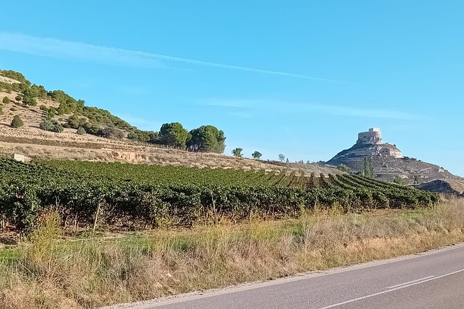 Explore Ribera Del Duero and Visit 3 Wineries With Madrid Pickup - Customer Feedback