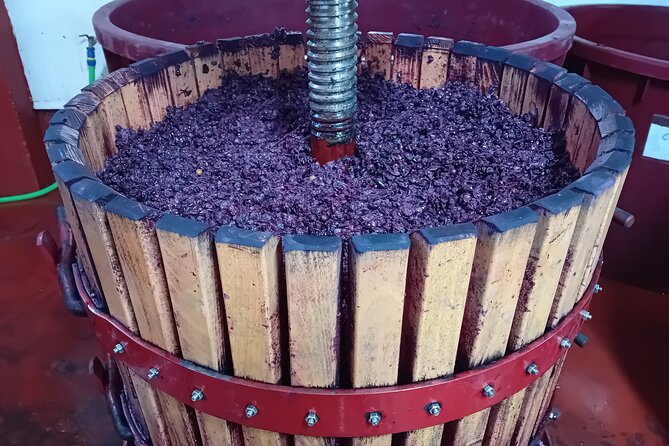 Explore Ribera Del Duero and Visit 3 Wineries With Madrid Pickup - Highlights of the Tour