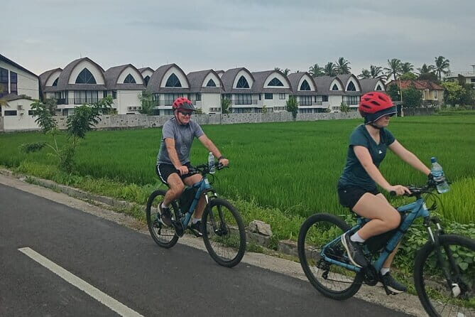 Explore Rice Fields and Hidden Villages with Ubud E-Bike Tour - The Experience and The Guides