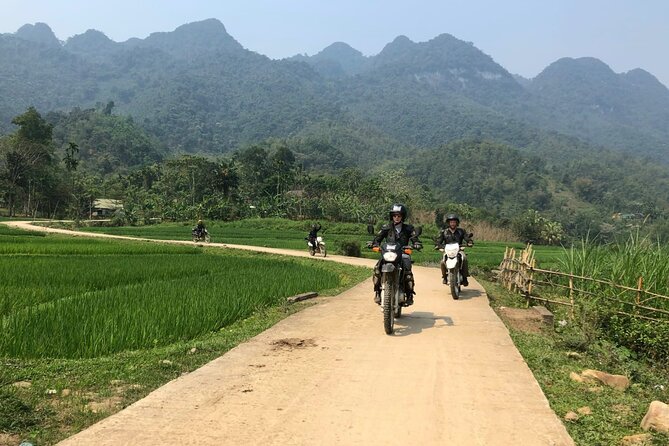 Explore Rice Terrace Pu Luong Ninh Binh Ha Long 4 Days 3 Night - Authenticity and Traveler Feedback