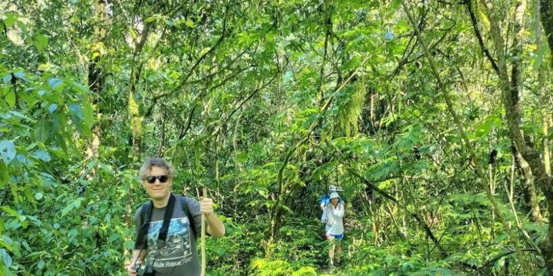 Explore rice terraces munduk & waterfall trekking experience - Key Points