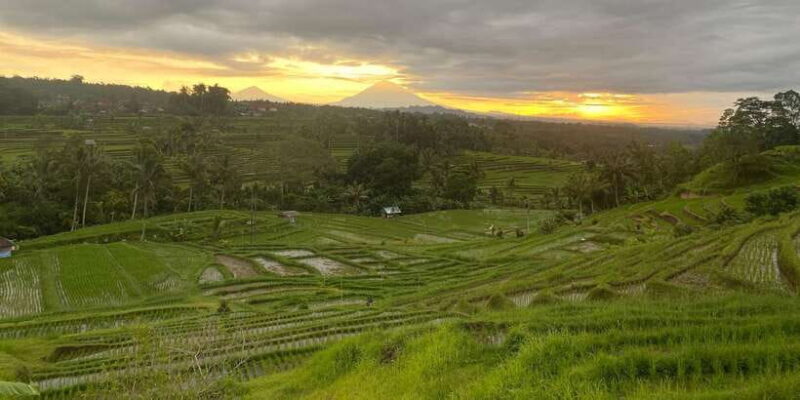 Explore rice terraces munduk & waterfall trekking experience - Who Will Love This Tour?