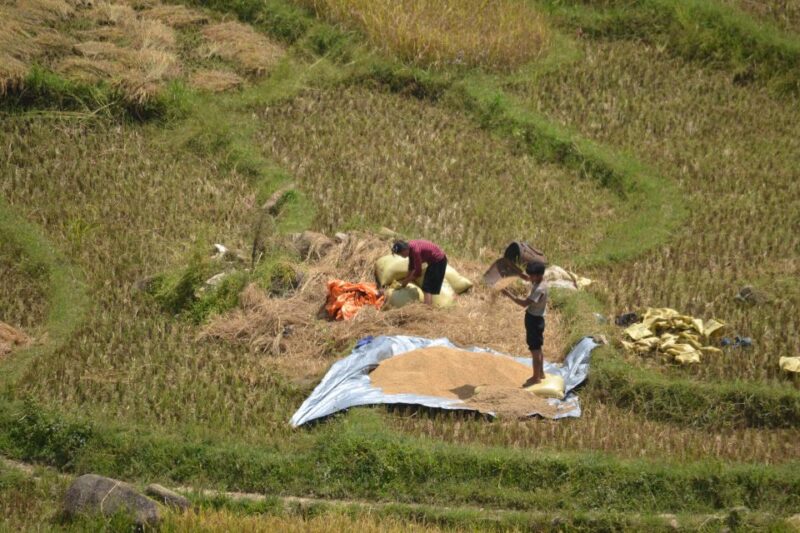 Explore Sa Pa with Overnight Train & Sleeper Bus & Trekking - Final Thoughts