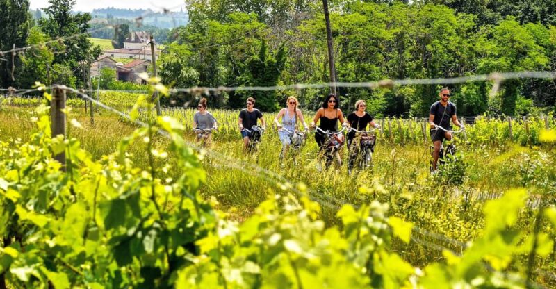 Explore Saint-Émilion on e-Bikes: Small Group, half-Day Tour - Who Will Love This Tour?